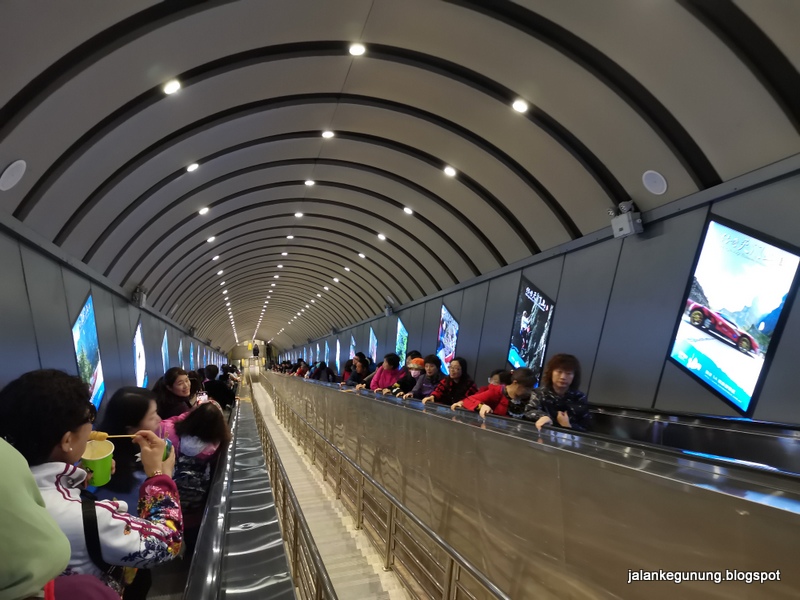 Jalan Ke Gunung: 2019