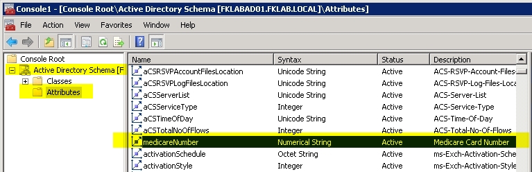Farhan Kazi: Creating Custom Active Directory Attributes