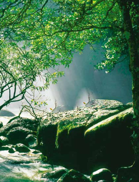 Thailand Traveling Guide: Traveling with nature