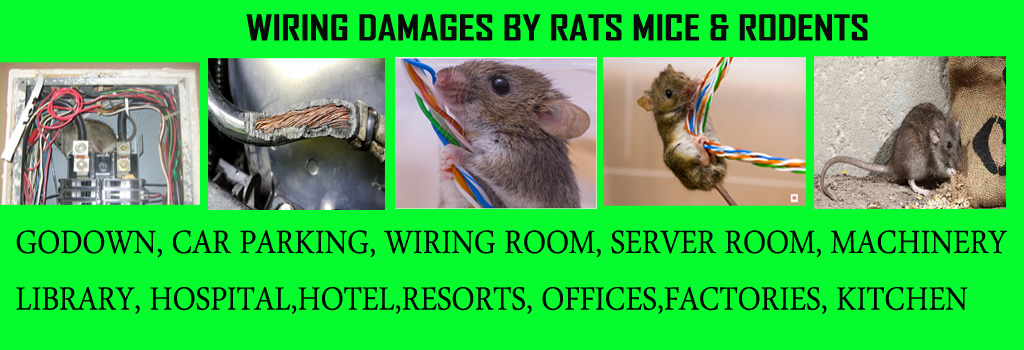 how to work rodent repellent system