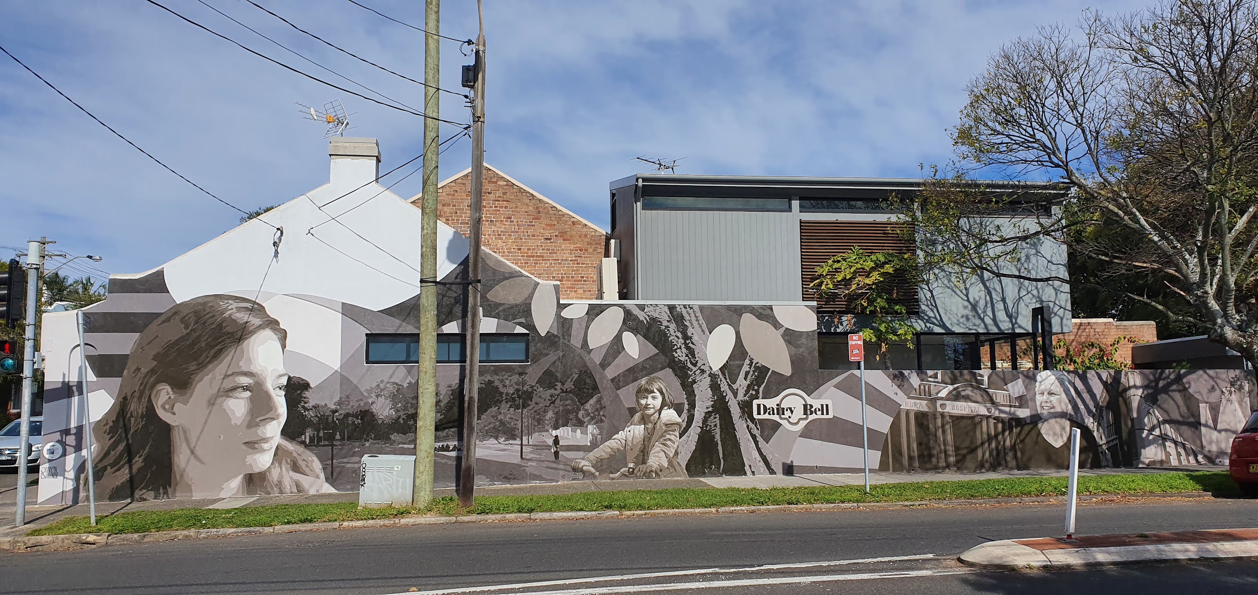 Sydney - City and Suburbs: Camperdown, mural