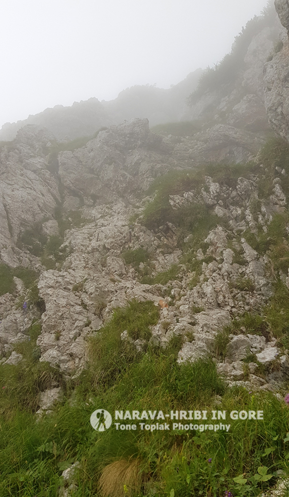 Narava hribi in gore: Gamsov skret