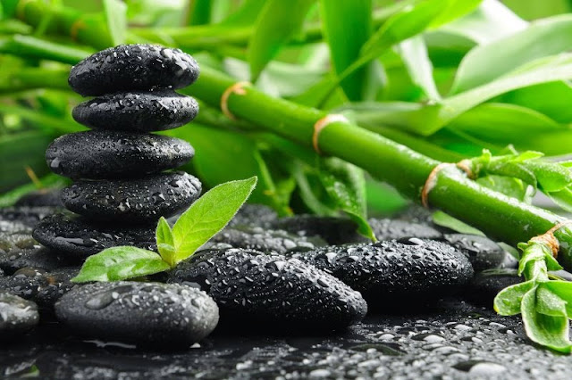 DIVAGAR SOBRE TUDO UM POUCO - Poemas, Flores, Pinturas, Férias: Uma ...