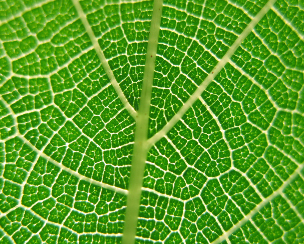 Iedereen kan leren schrijven: In alles zit een structuur, ook in een tekst