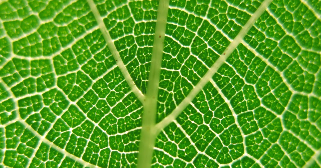 Iedereen kan leren schrijven: In alles zit een structuur, ook in een tekst