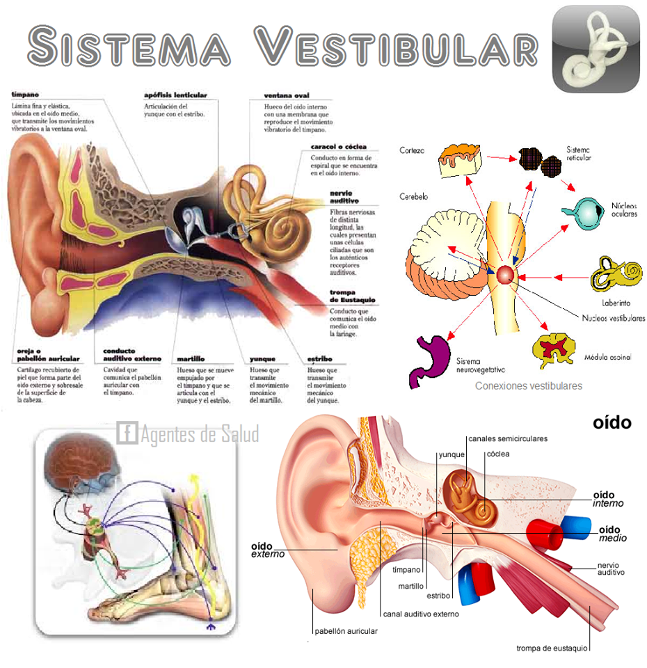 O Que é O Vestibular - NAZAEDU