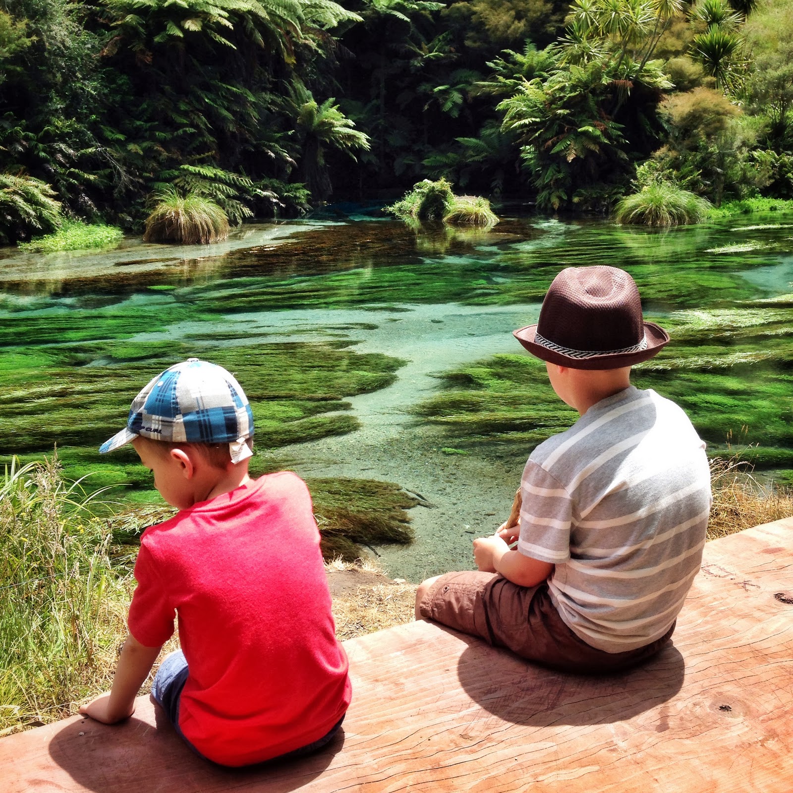 Walk to the Blue Spring: one of NZ's best kept secrets | the adventures ...