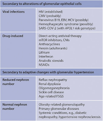 Nephron Power: KDIGO 2021- GN Management Guidelines: FSGS