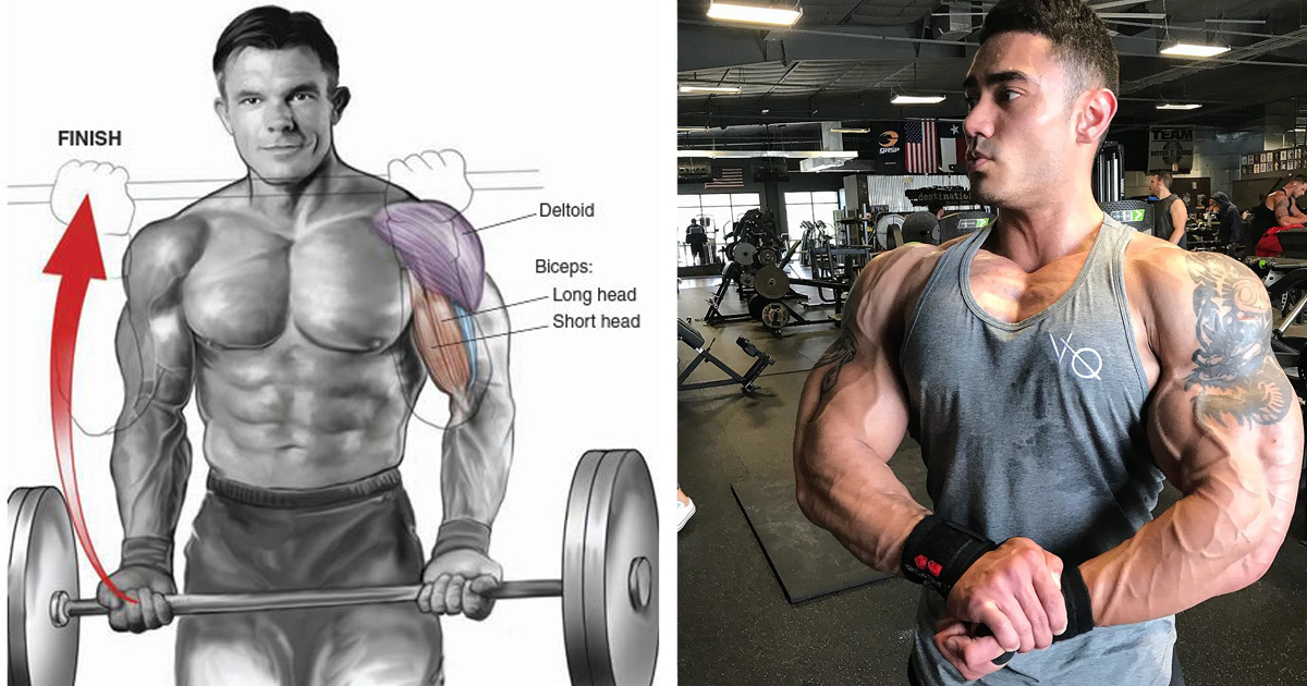 5 Advanced Tips to Build Bigger Biceps - SHREDDEDFIT