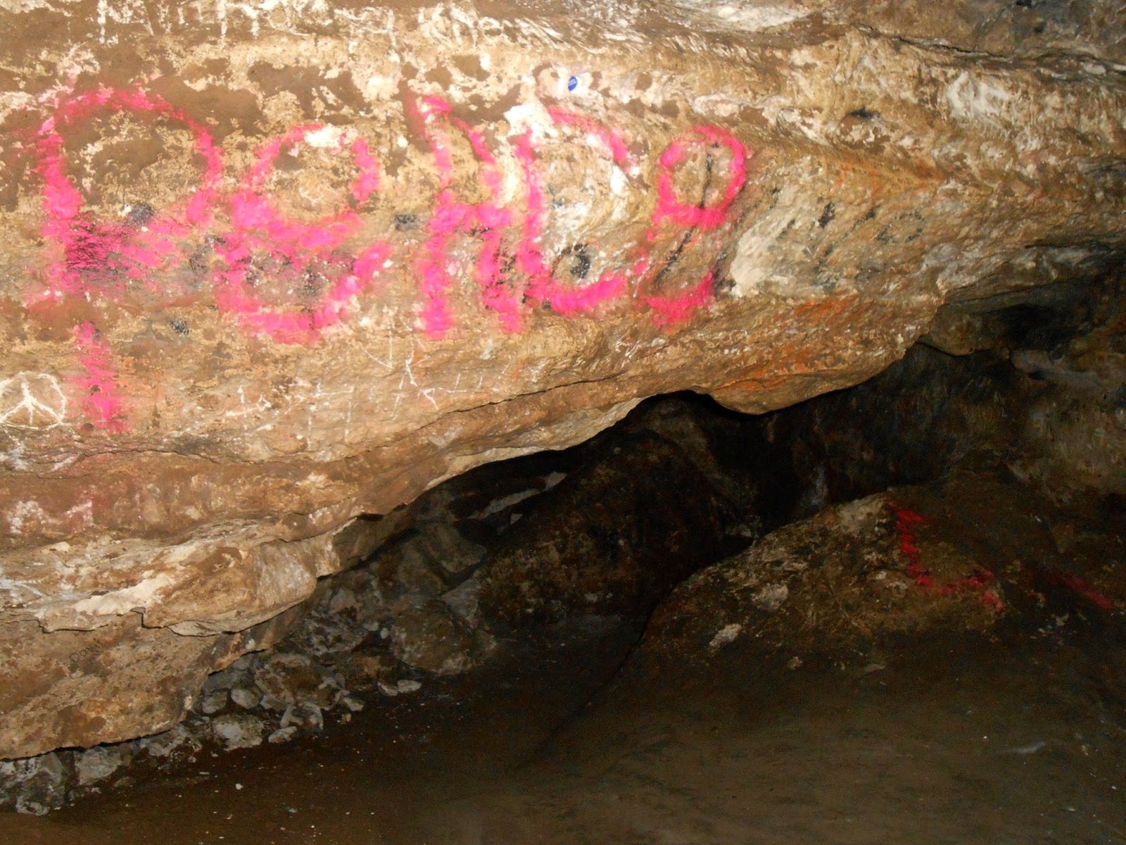 Dames Cave: Cave Spelunking in Florida - Lost Girls Adventures