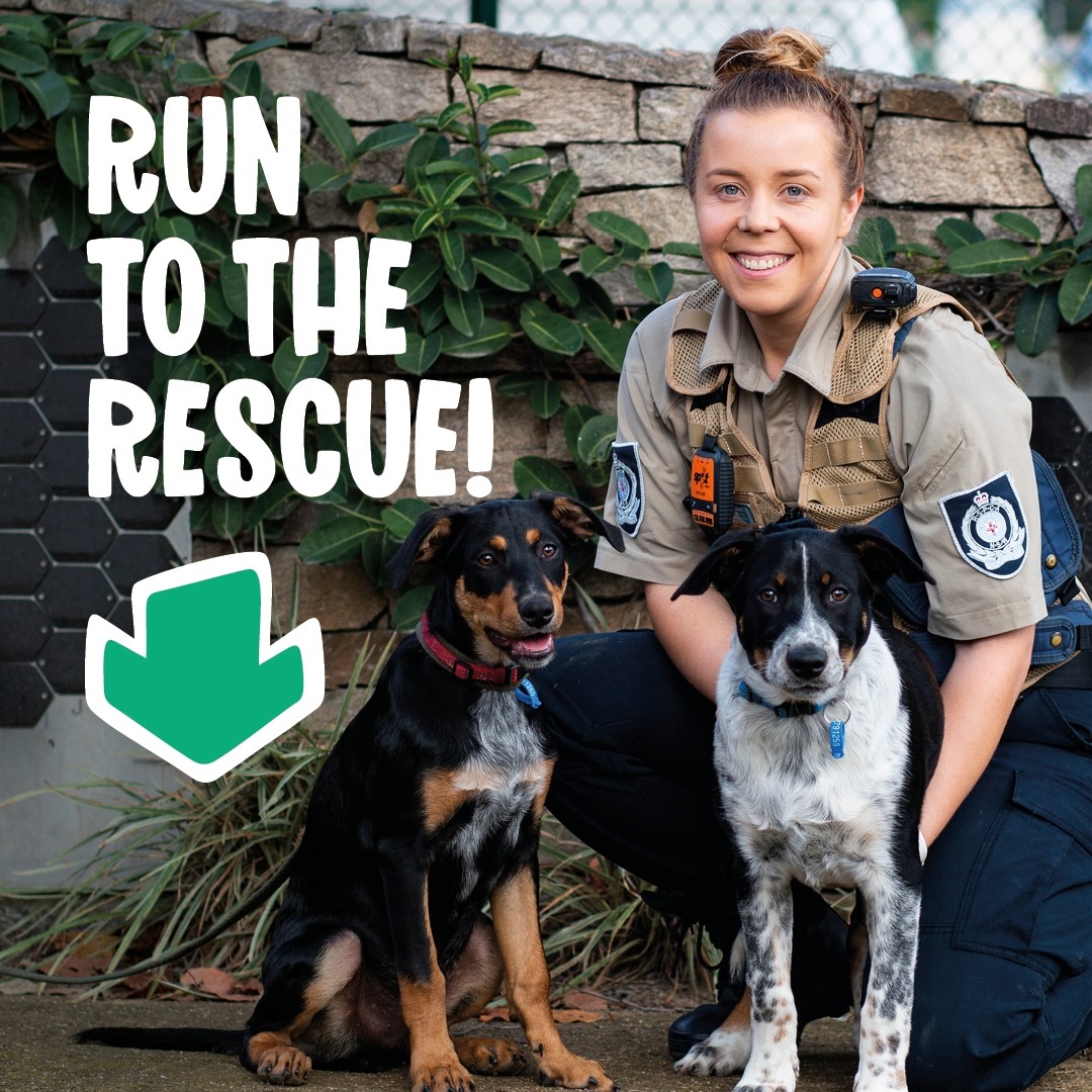RSPCA Rescue Run from October 18 | Australian Dog Lover