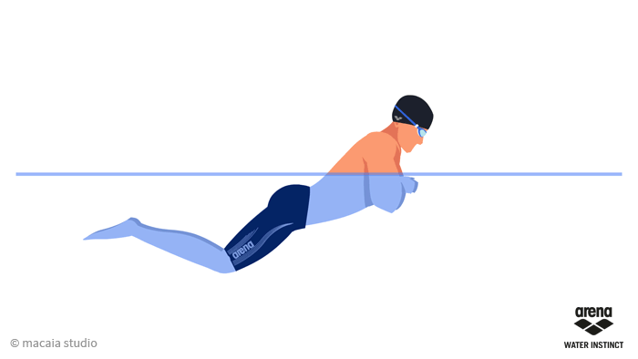 Natación avispa: 🏊‍♂️La técnica del estilo braza