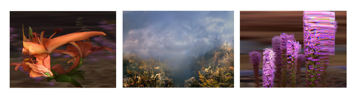 Photo Gallerino: IN THE WATER I AM BEAUTIFUL • Kim Keever & Bruce ...