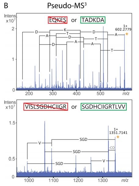 News in Proteomics Research: INTERNAL fragment assessment in top-down ...