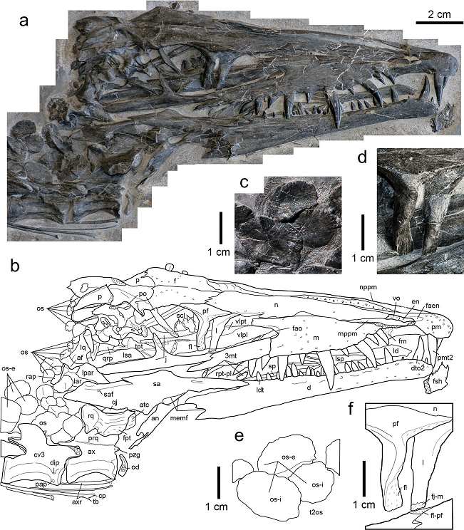 Waxing Paleontological: D&D Monsters of the Triassic