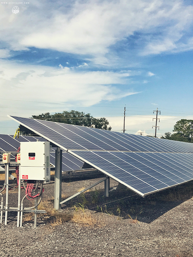 Touring the UL Lafayette Solar PART Lab - Eco Cajun
