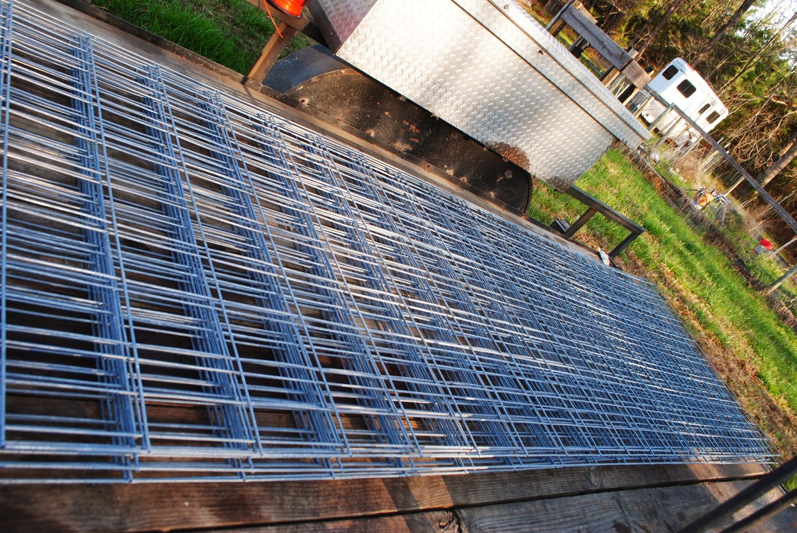 Adventures on Zephyr Hill Farm: DIY Rebar Grape Arbor