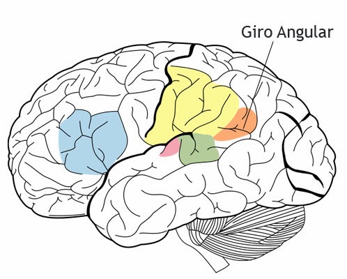 O giro angular | Omelhor