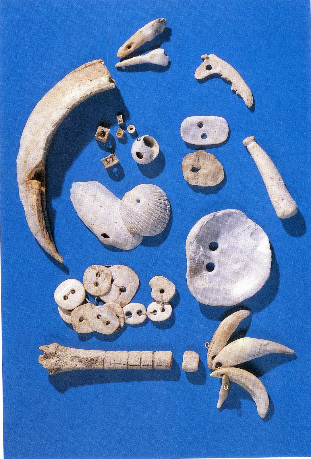 Not Your Mom's Jewellery: History of Jewelry- Prehistoric Era