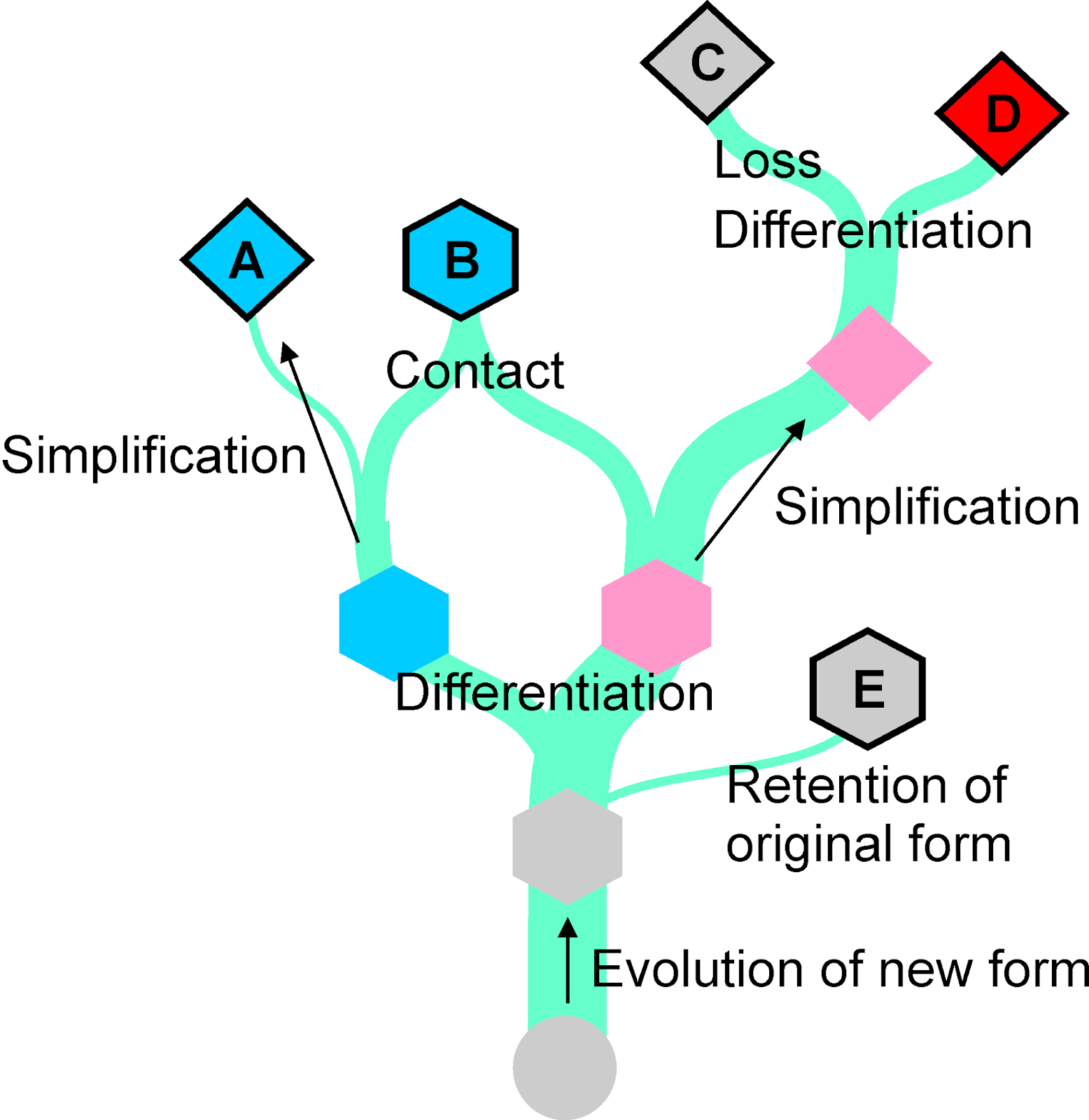The Genealogical World of Phylogenetic Networks: 2018