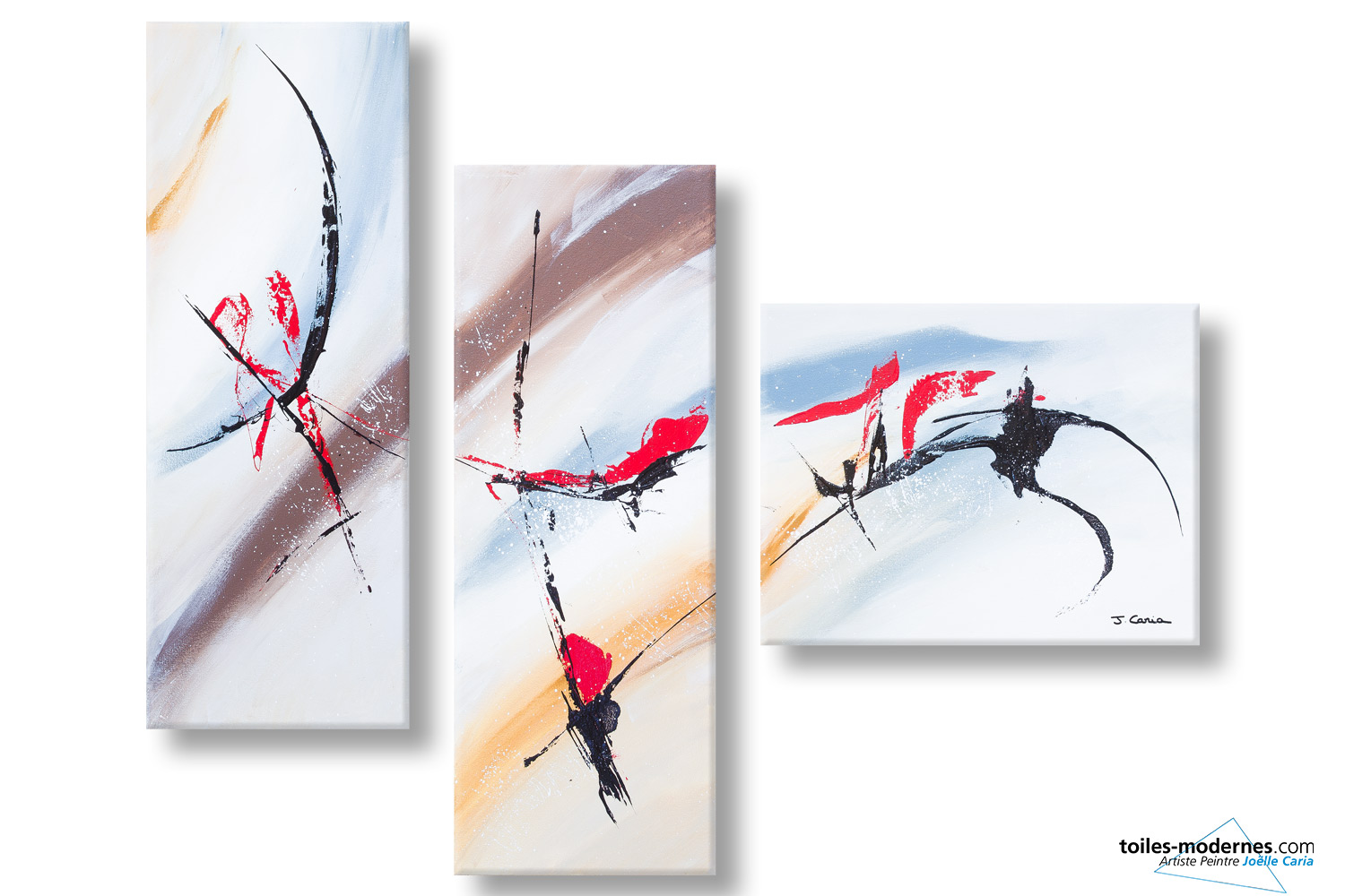 Joëlle Caria Artiste Peintre Toiles-modernes.com. Tableaux Modernes ...