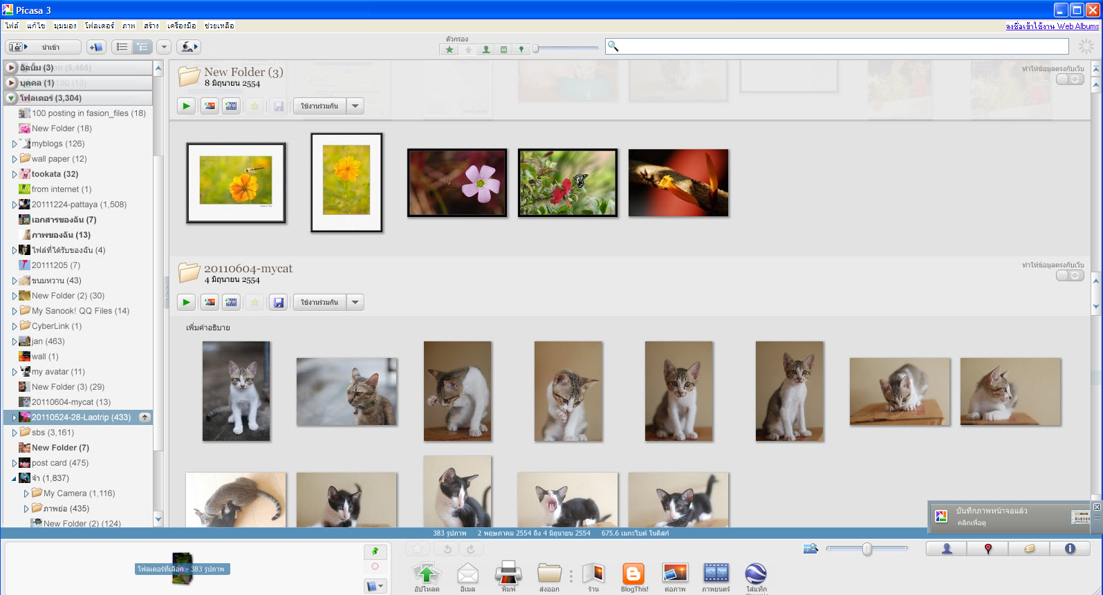 Picasso photo editing app - bastaplaza