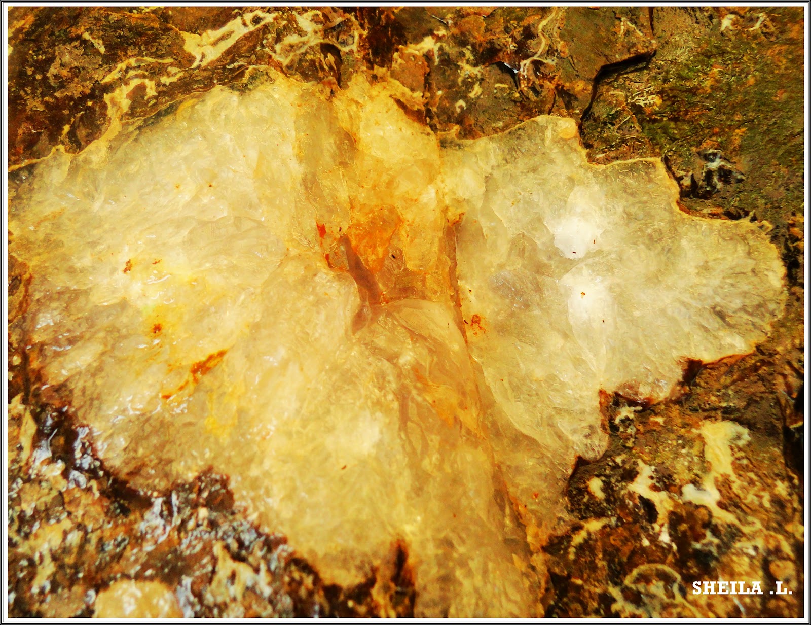 The Baxter's Harbour Blog: Crystals in the Rocks