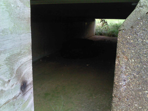 SCP fan page: SCP-554