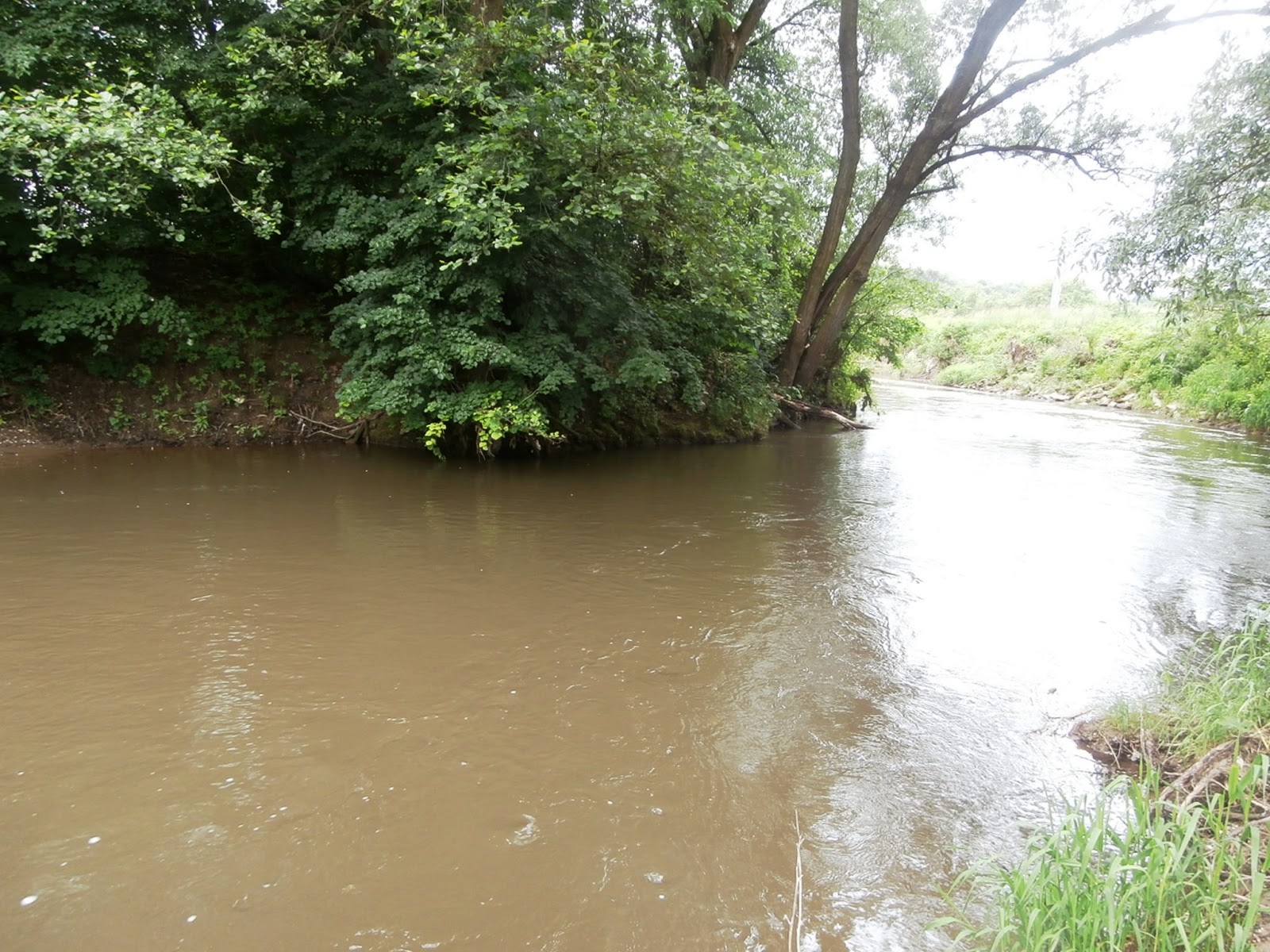 S udicou po Slovensku: Potok Rimava 27.5.2013