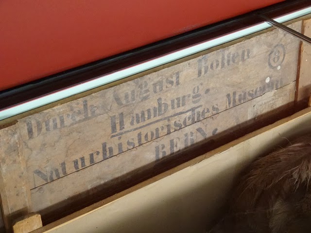 Jacques Huber and the Amazonian Botany: 2013