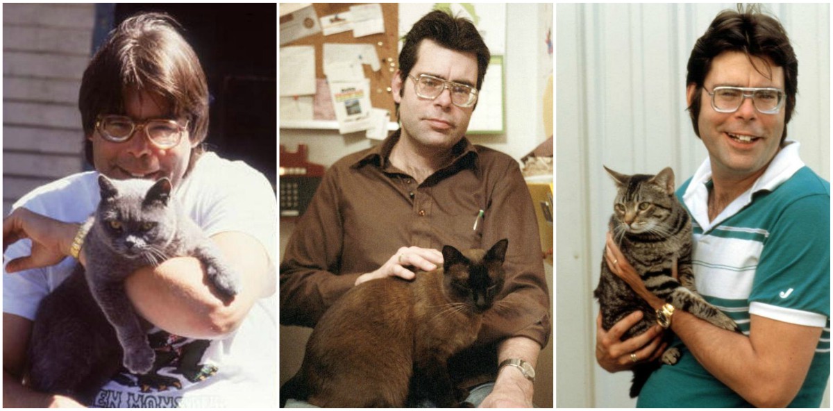 Awesome Photos of Stephen King Posing With His Beloved Cats From the ...