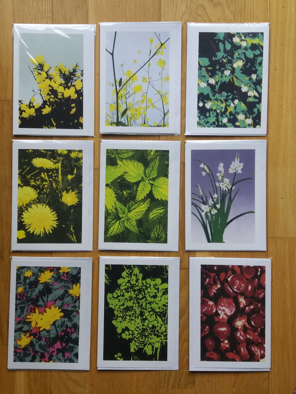 Tom's Yard Screenprint Studio: Pack of 10 cards with foraging recipes