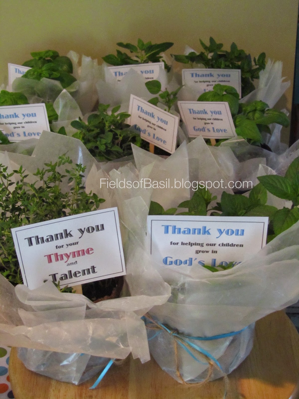 Fields of Basil: Sunday School Teacher Gifts-Free Printable