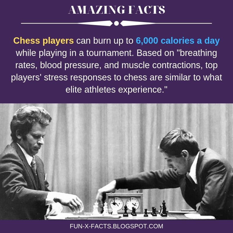 Interesting fact: Сhess players can burn up to 6,000 calories a day ...
