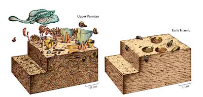 10 millones de años tras el Pérmico