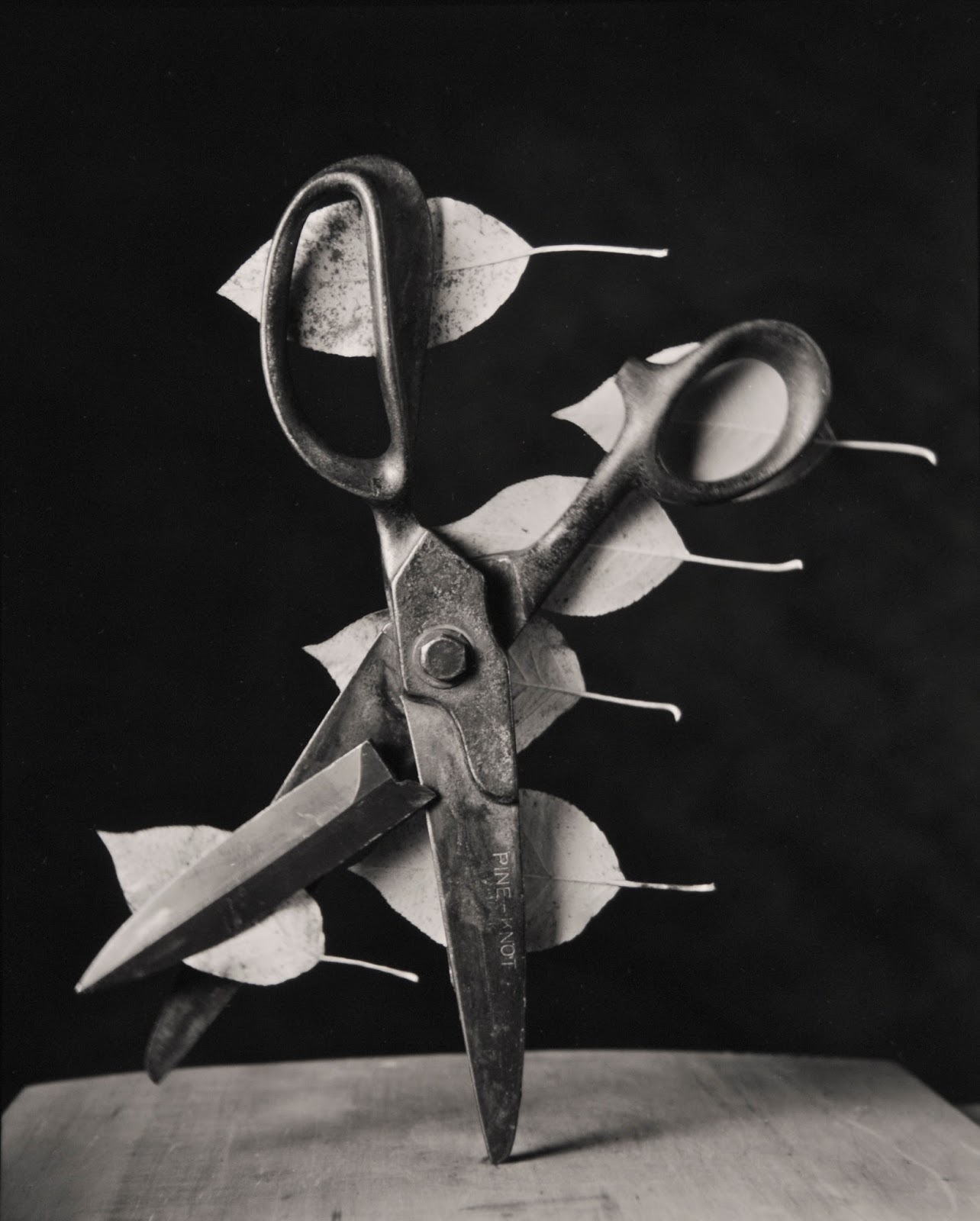 Robert Langham: Guggenheim Application images: Magic & Logic.