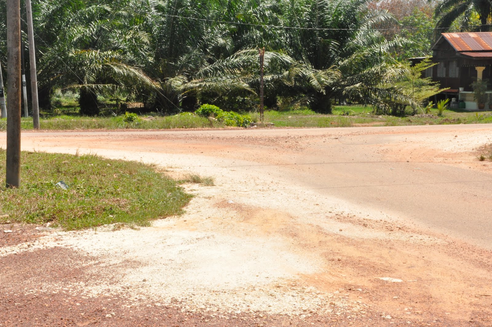 KAMPUNG PARIT BUNGA RAYA HUJUNG