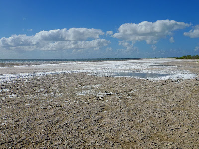 The Adventures of S/V Silhouette: A Snapshot of Life on Kiritimati ...