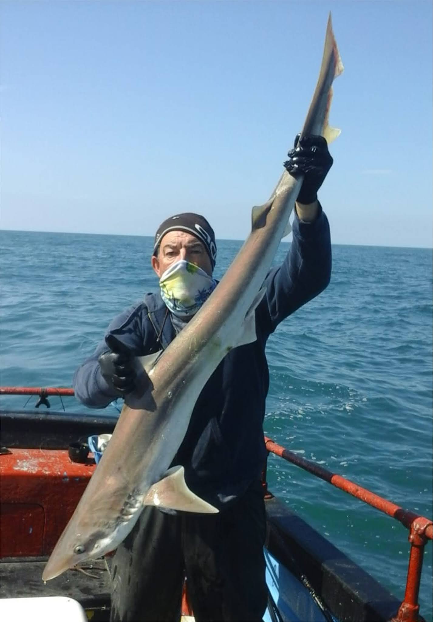 Seagull Fishing Tackle Sea Fishing at Dungeness