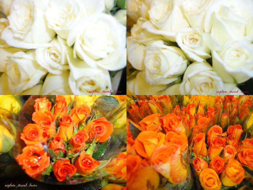 explore . travel . learn: DANGWA: Fresh Flower Market