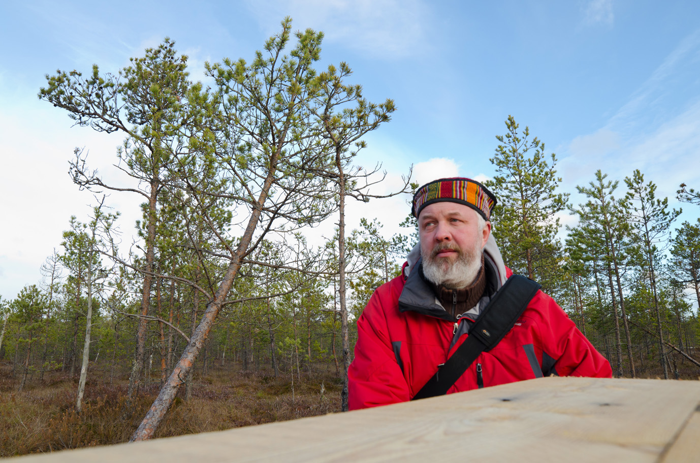 Loitsija: Enne aastavahetust Valgesoo rabas