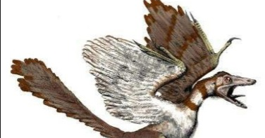 Mythology: The Lone Pine Mountain Devil