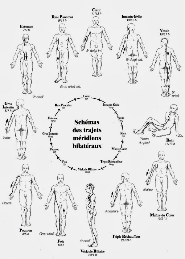Vivre le Meilleur de Soi : Les Méridiens - Préambule