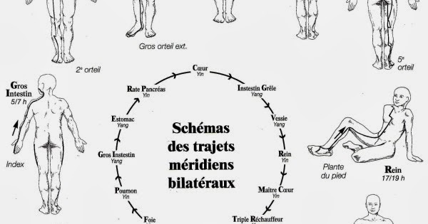 Vivre le Meilleur de Soi : Les Méridiens - Préambule