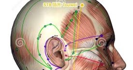 Blog Le Souffle du Menhir: E 8 Tou Wei / Tóu Wéi 頭維 Liaison à la tête