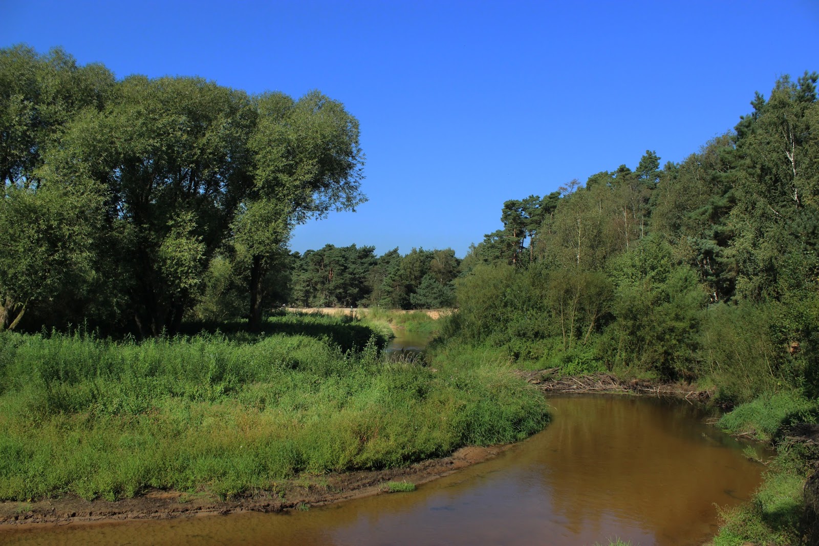 Op fotografieavonduur in Lutterzand | Senna's Fotoblog