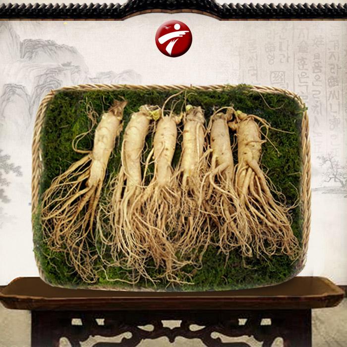 Củ sâm hàn quốc có những tác dụng gì cho sức khỏe ? | Blog Làm Đẹp