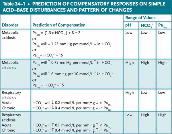 Acid-Base Abnormalities Part I Case File