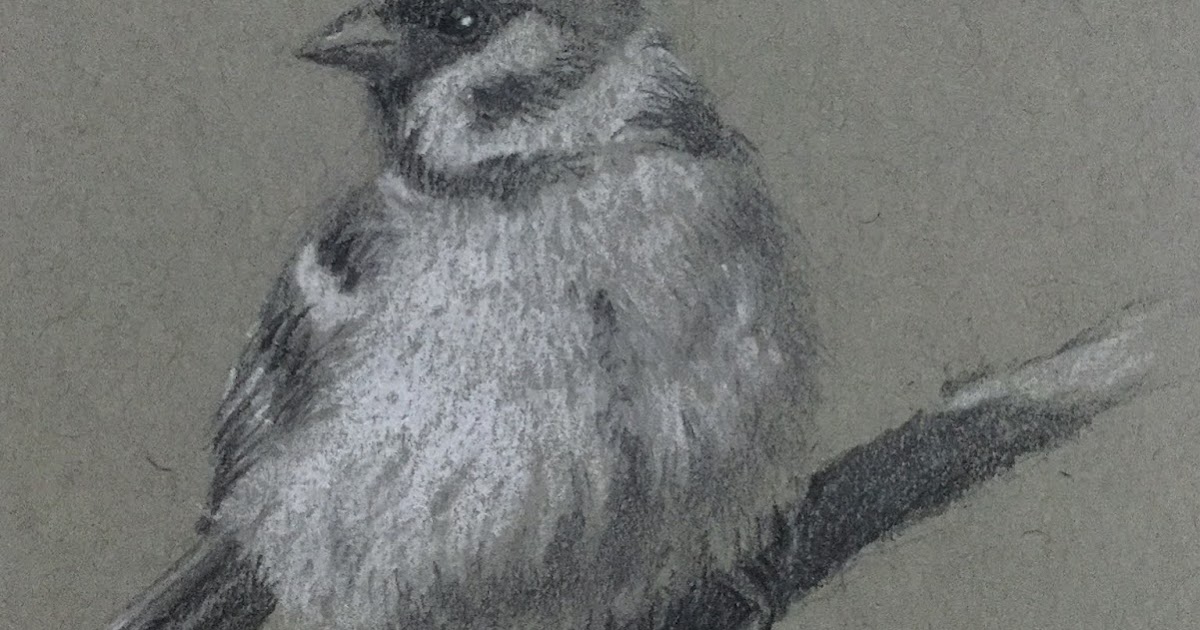 Paintings and Drawings by Manju Panchal: Sparrow - A Graphite drawing ...