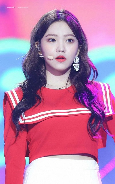 LOS FANÁTICOS DEBATEN QUÉ ELEMENTOS VISUALES DE LAS INTEGRANTES DE RED ...